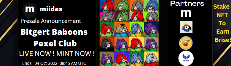 Bitgert Baboons : Pixel Club (Level-2)